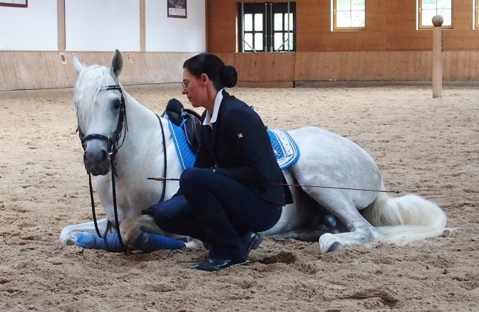 10. An Evening with Anja Beran – HorseMagic